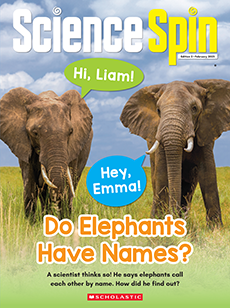 Science Magazines for Kids | Scholastic Classroom Magazines