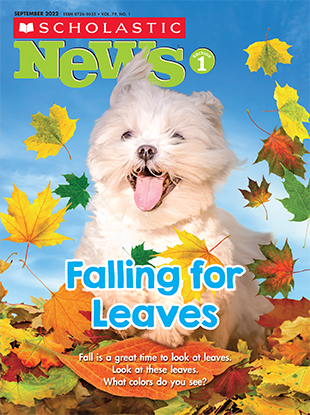 Scholastic Magazines+