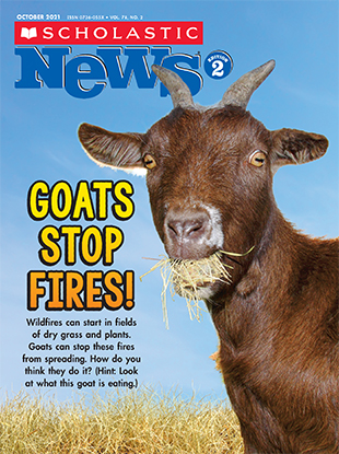 Scholastic Magazines+