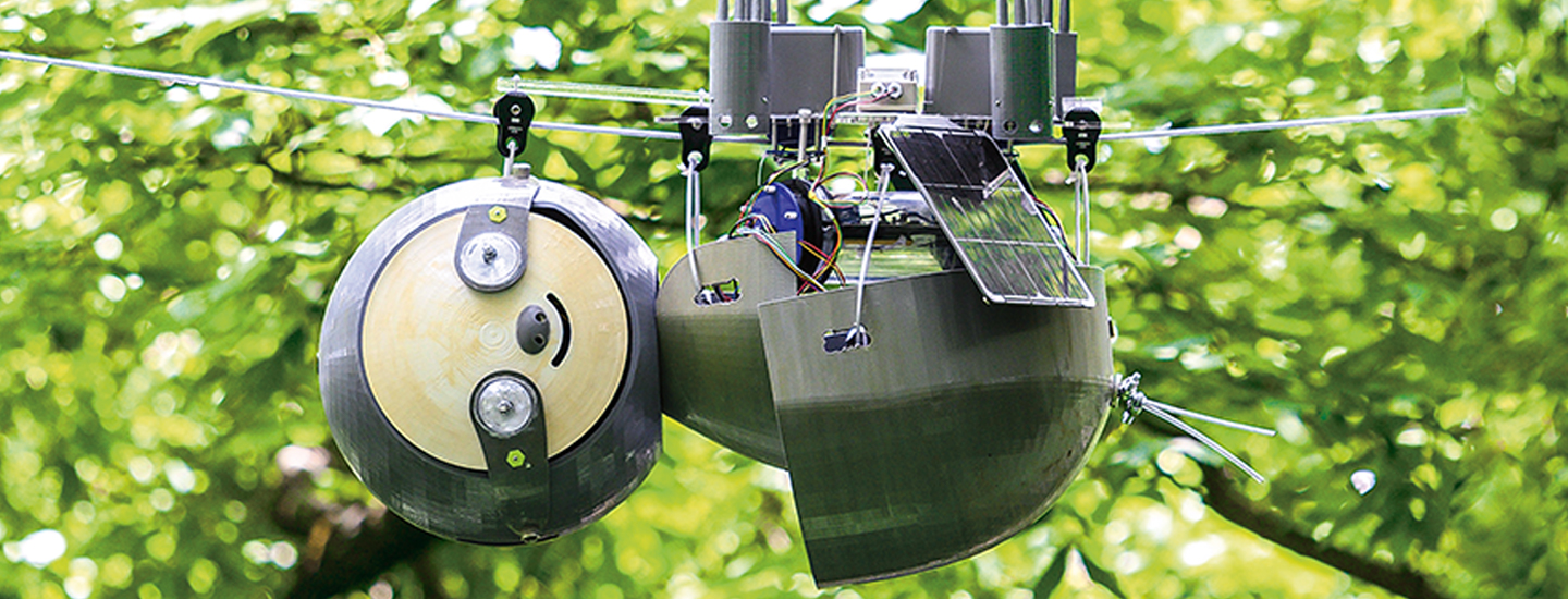 Wild Robots Engineering Article for Students | Scholastic SuperScience ...